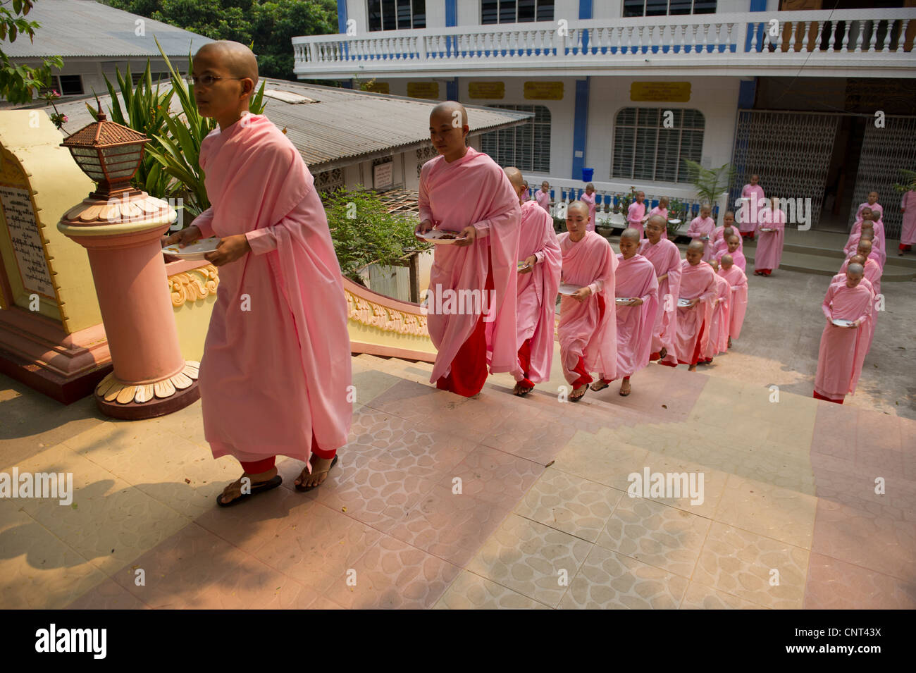 Buddhist nuns entering dining hall hi-res stock photography and images ...