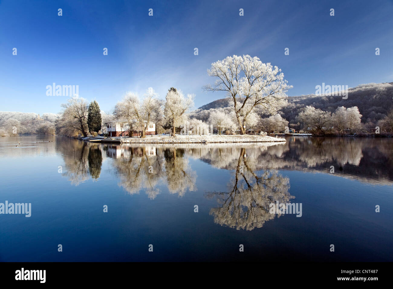 River rhine frozen hi-res stock photography and images - Alamy