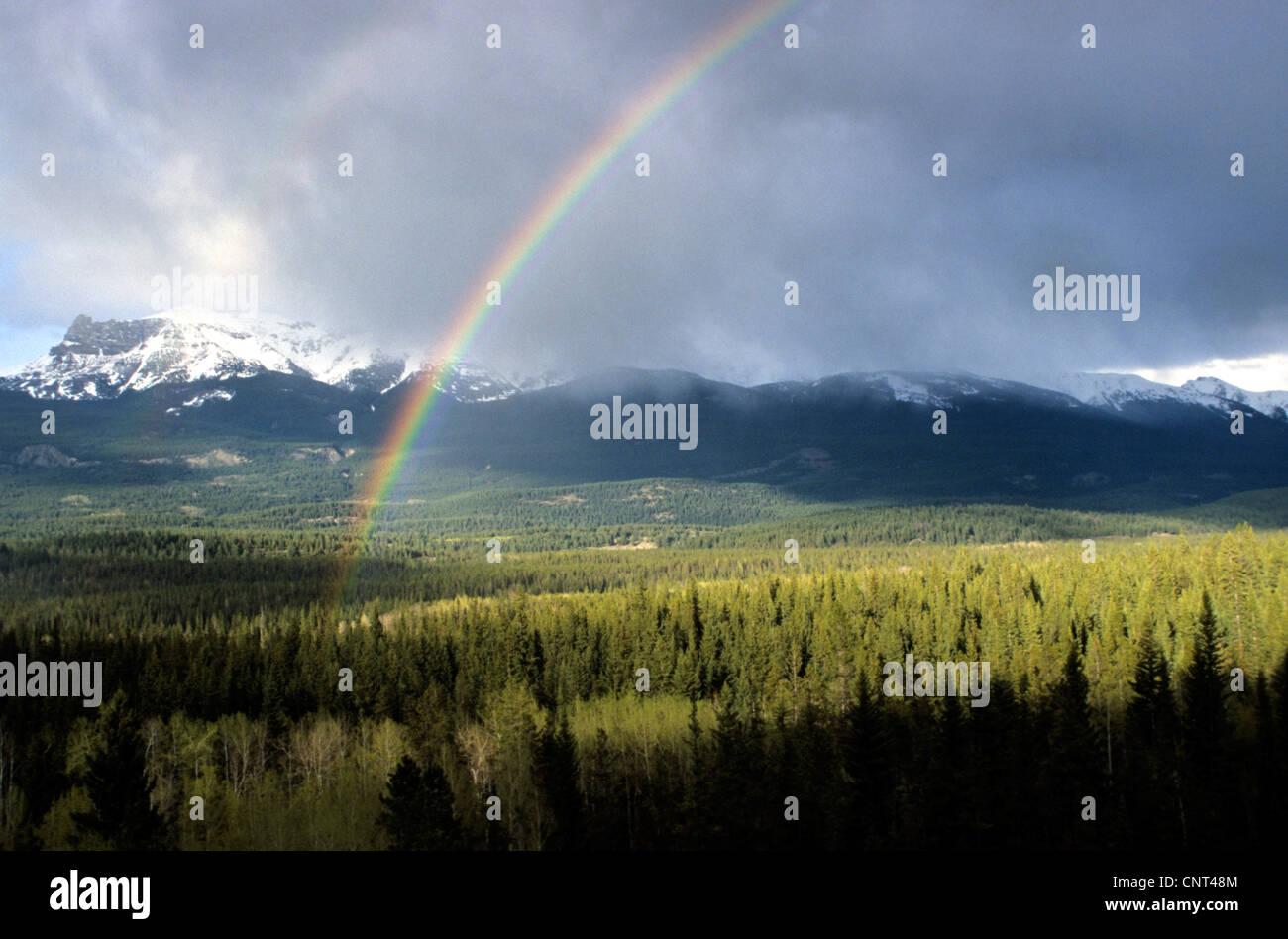 Taiga boreal forest rainbow hi-res stock photography and images - Alamy