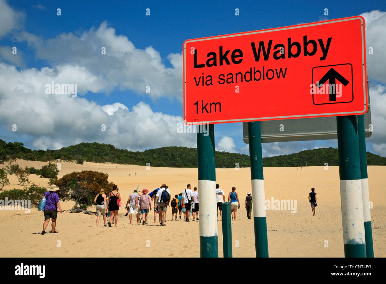 path to Lake Wabby, Australia, Queensland, Fraser Island Stock Photo ...