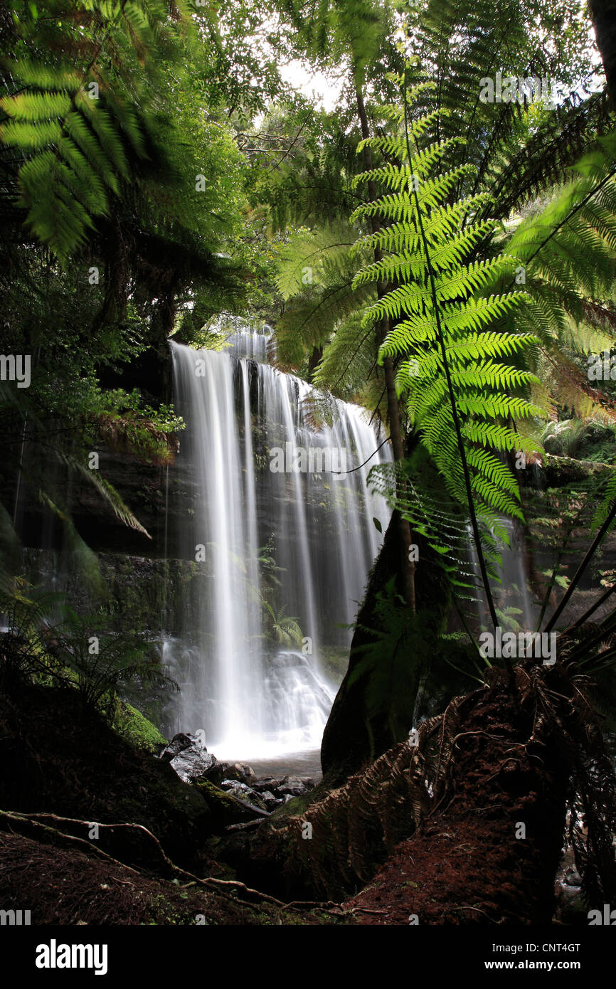 Mt field national park hi-res stock photography and images - Alamy