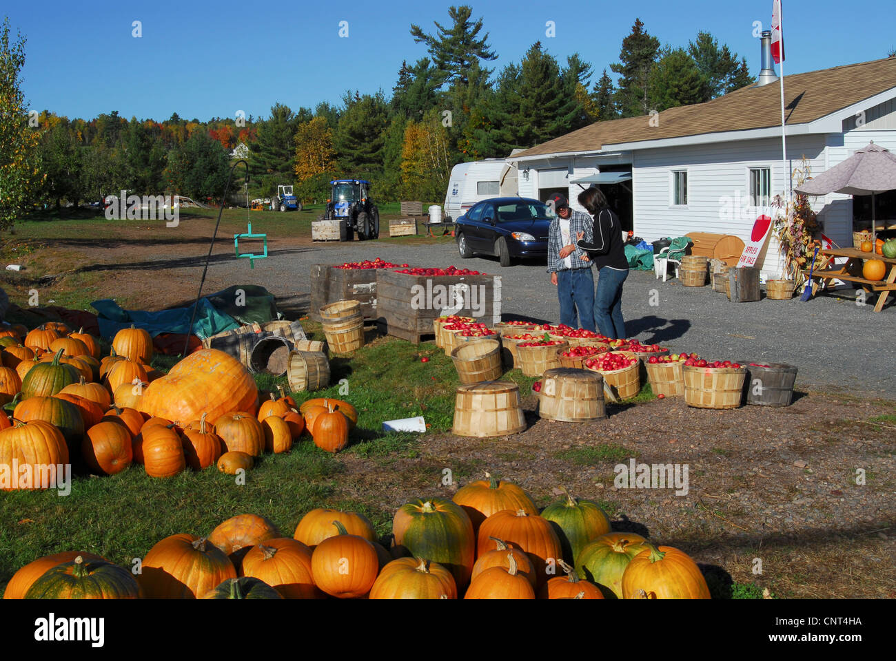 Maine farmhouse hi-res stock photography and images - Alamy