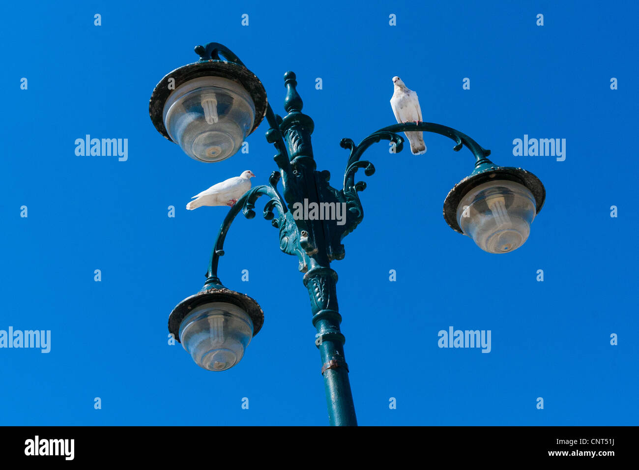 Solomos Square, Zakynthos Town Stock Photo - Alamy