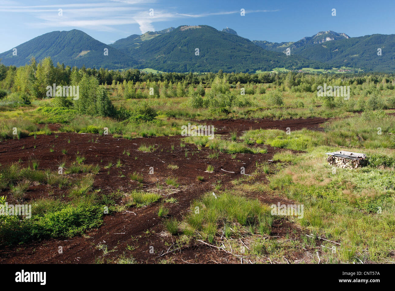 Hochrunstfilze hi-res stock photography and images - Alamy