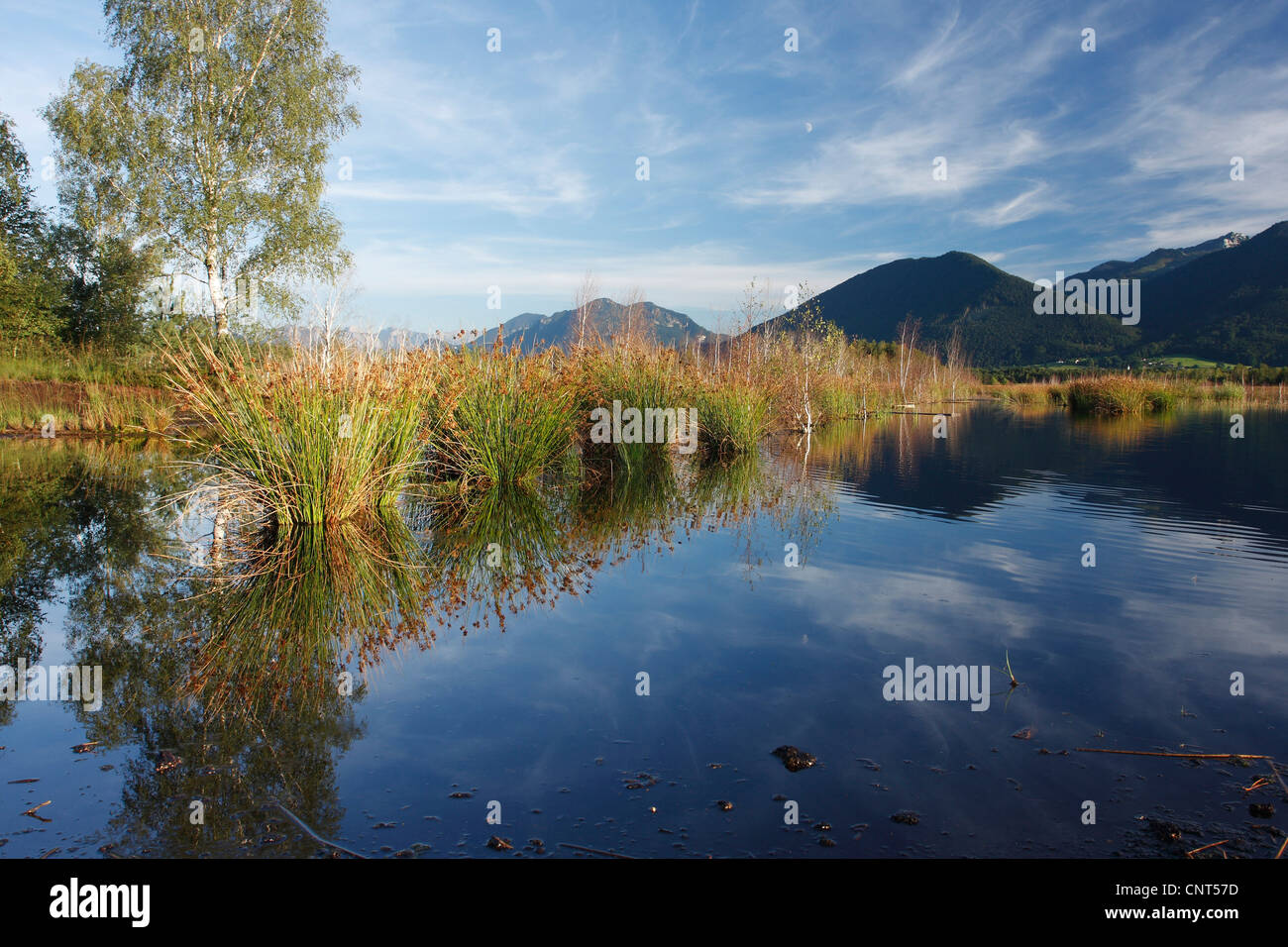high moor near Raubling and Bad Feilnbach, Germany, Bavaria ...