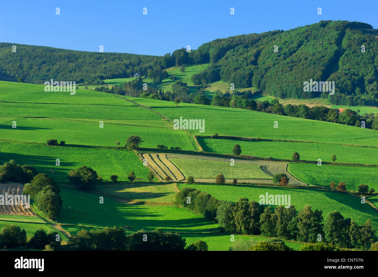Gersfeld rhoen hi-res stock photography and images - Alamy