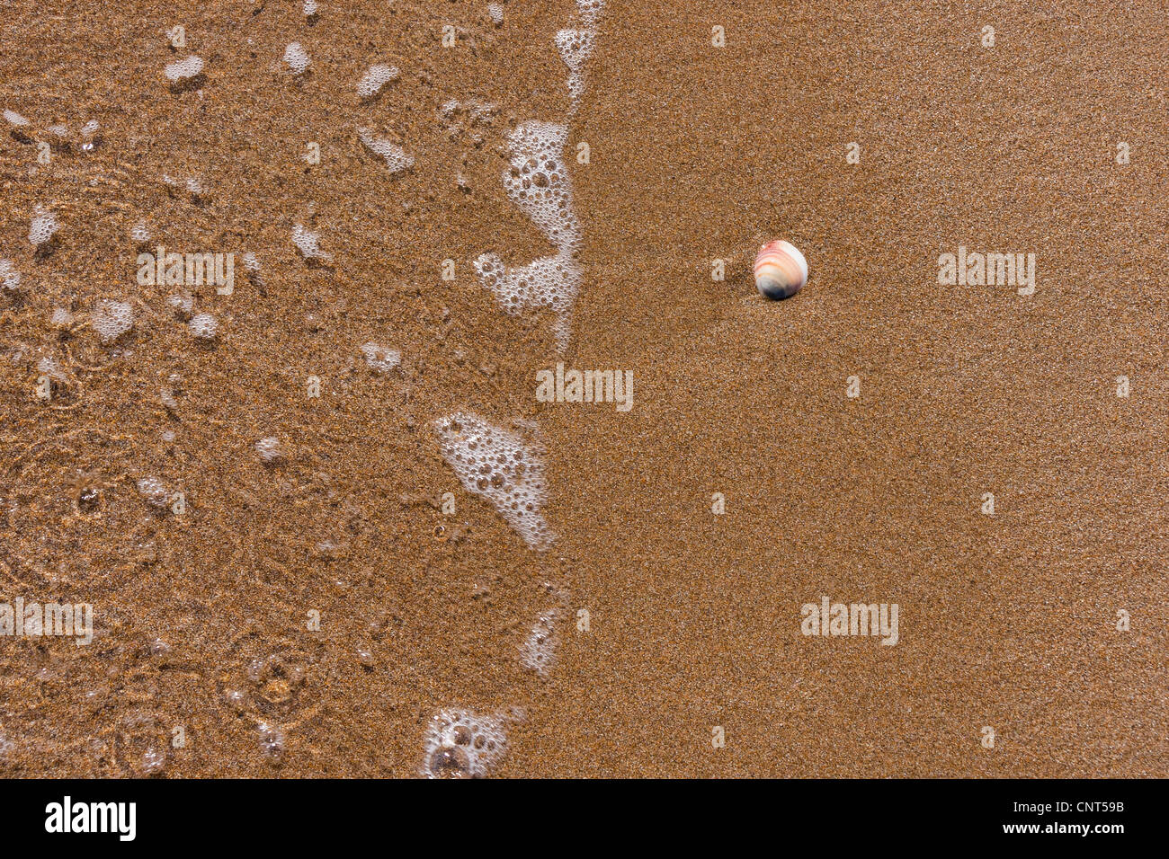 Shell bubbles hi-res stock photography and images - Alamy