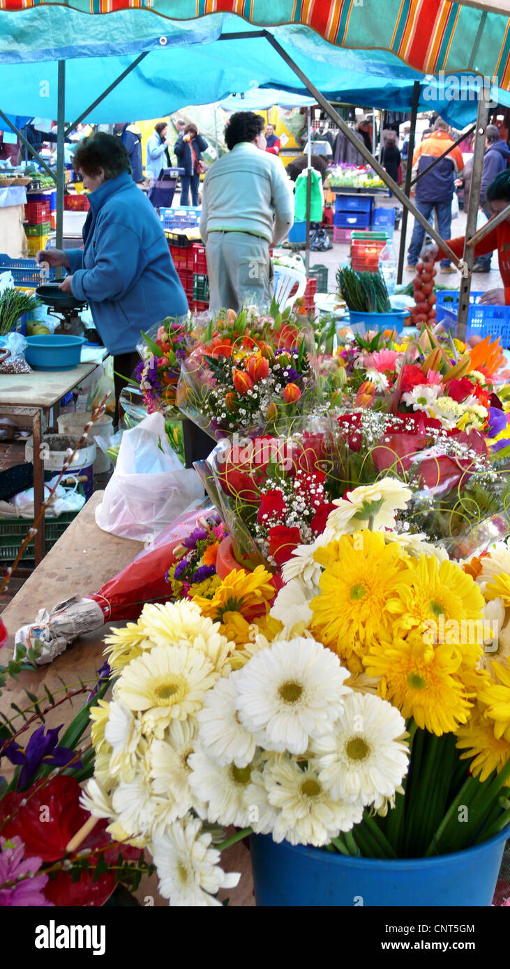 Booth Assistants Stock Photos & Booth Assistants Stock Images - Alamy