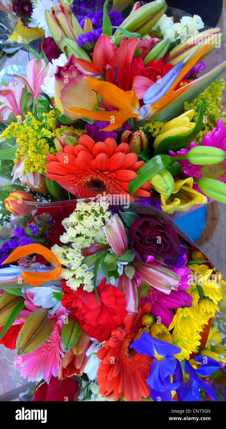 Bunches of flowers hi-res stock photography and images - Alamy