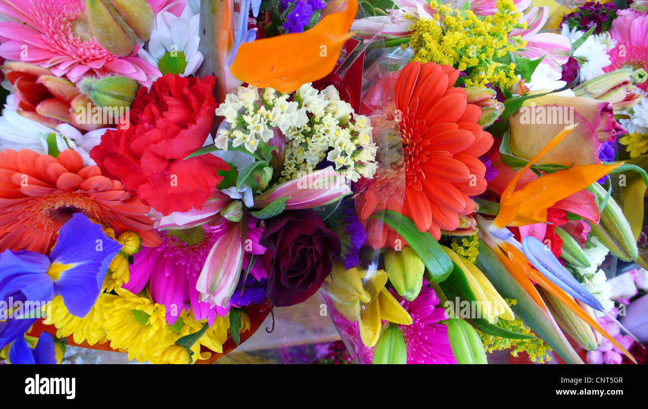 Bunches of flowers hi-res stock photography and images - Alamy