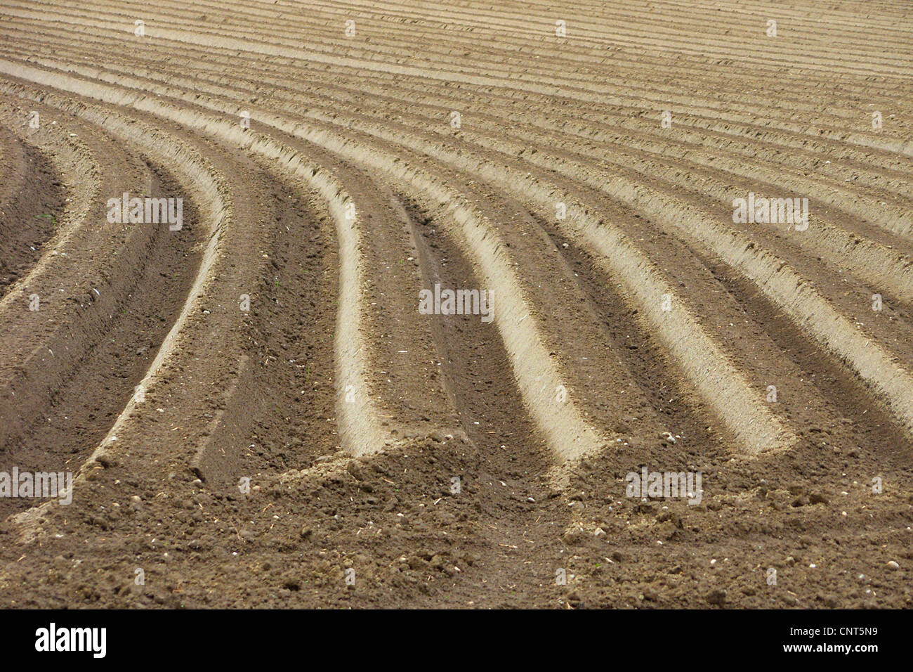Plough the land hi-res stock photography and images - Alamy