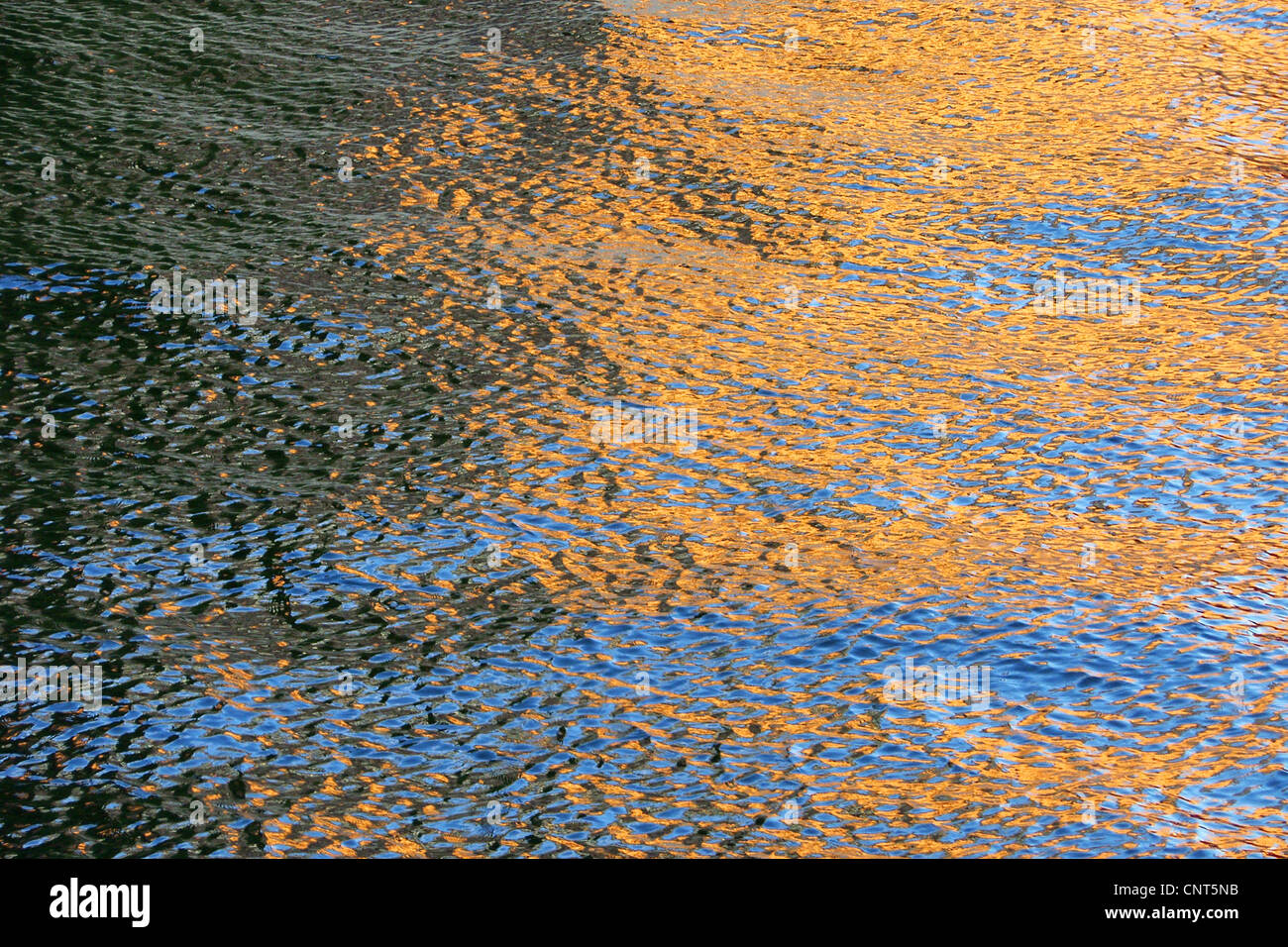 sun reflection on the water surface Stock Photo - Alamy
