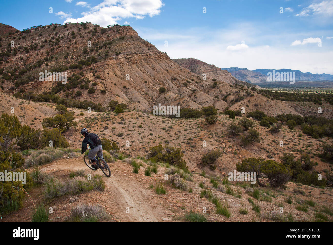 mountain bike bikers cyclist cyclists single trail track Colorado ...