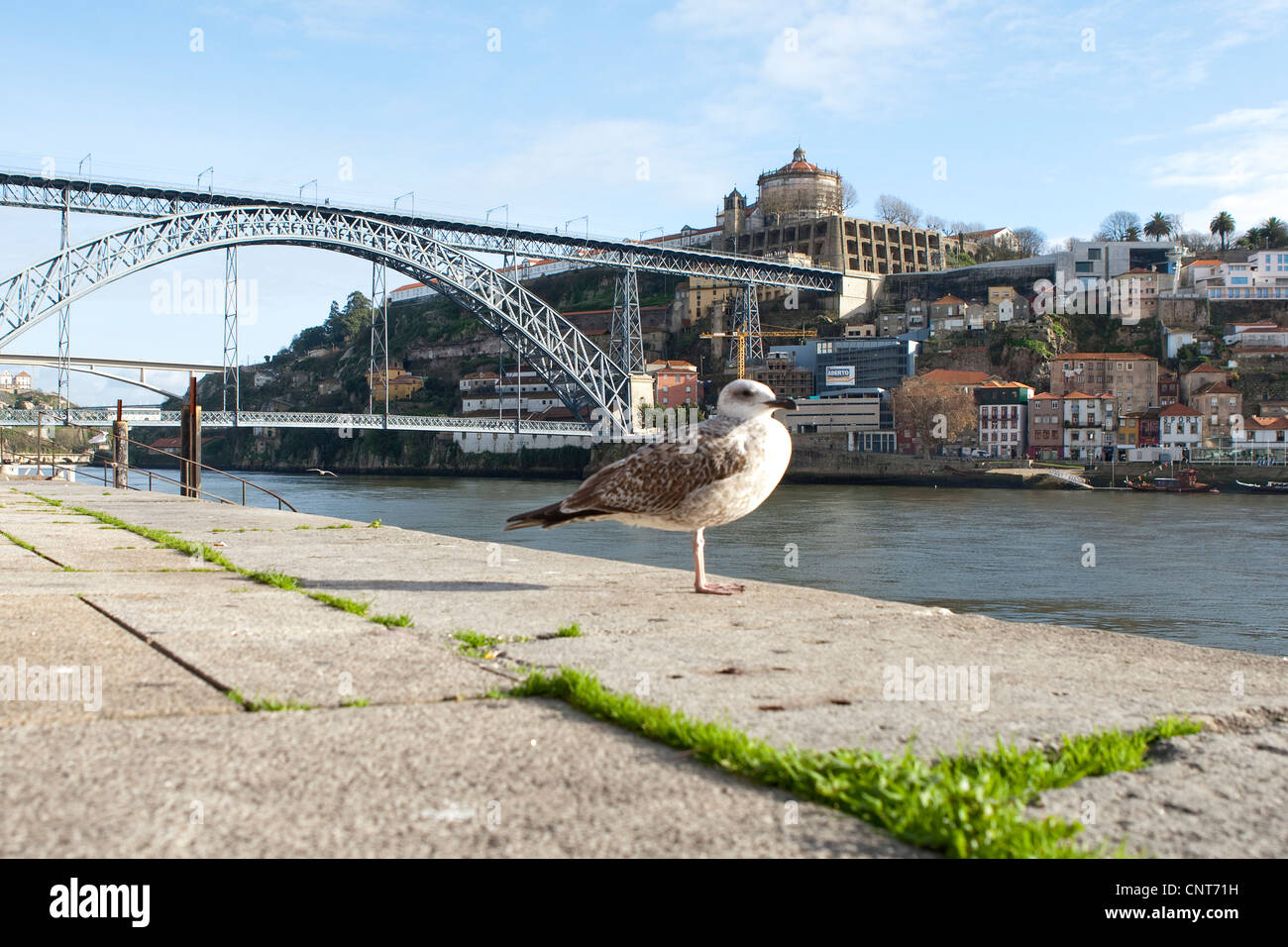 Cais do porto quay of port hi-res stock photography and images - Alamy