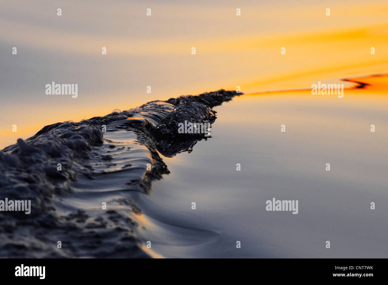 line of mud formation and water reflexions at the beach at sunset ...