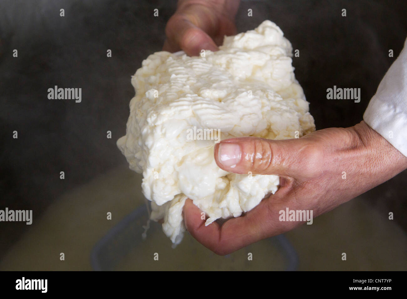 Sheep's milk Ricotta cheese Stock Photo - Alamy