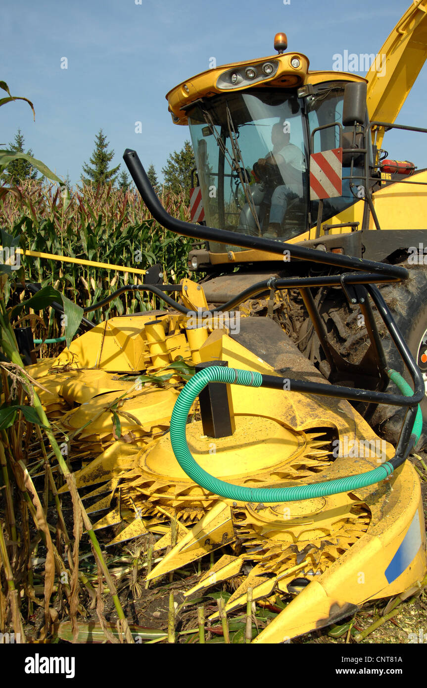 tractor harvesting corn, detail, Germany, Bavaria Stock Photo - Alamy