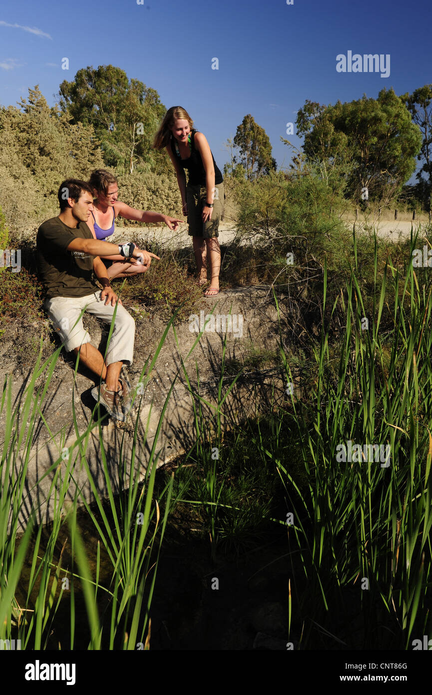 young biologists researching a wetland, Greece, Peloponnes Stock Photo ...