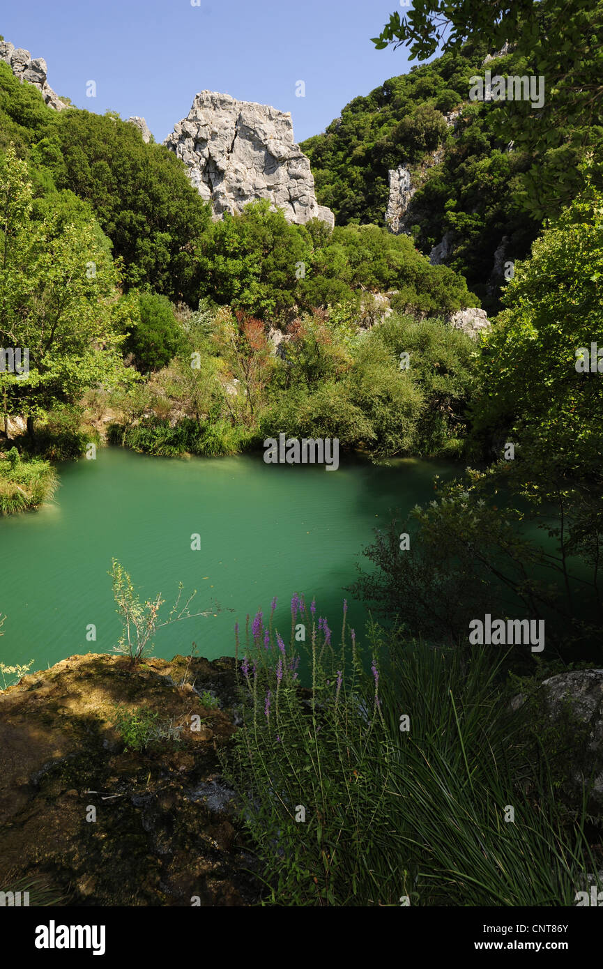 Fresh pond hi-res stock photography and images - Alamy