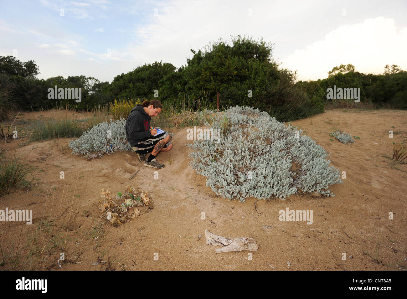 young biologist collecting data, Greece, Peloponnes, Messinien Stock ...
