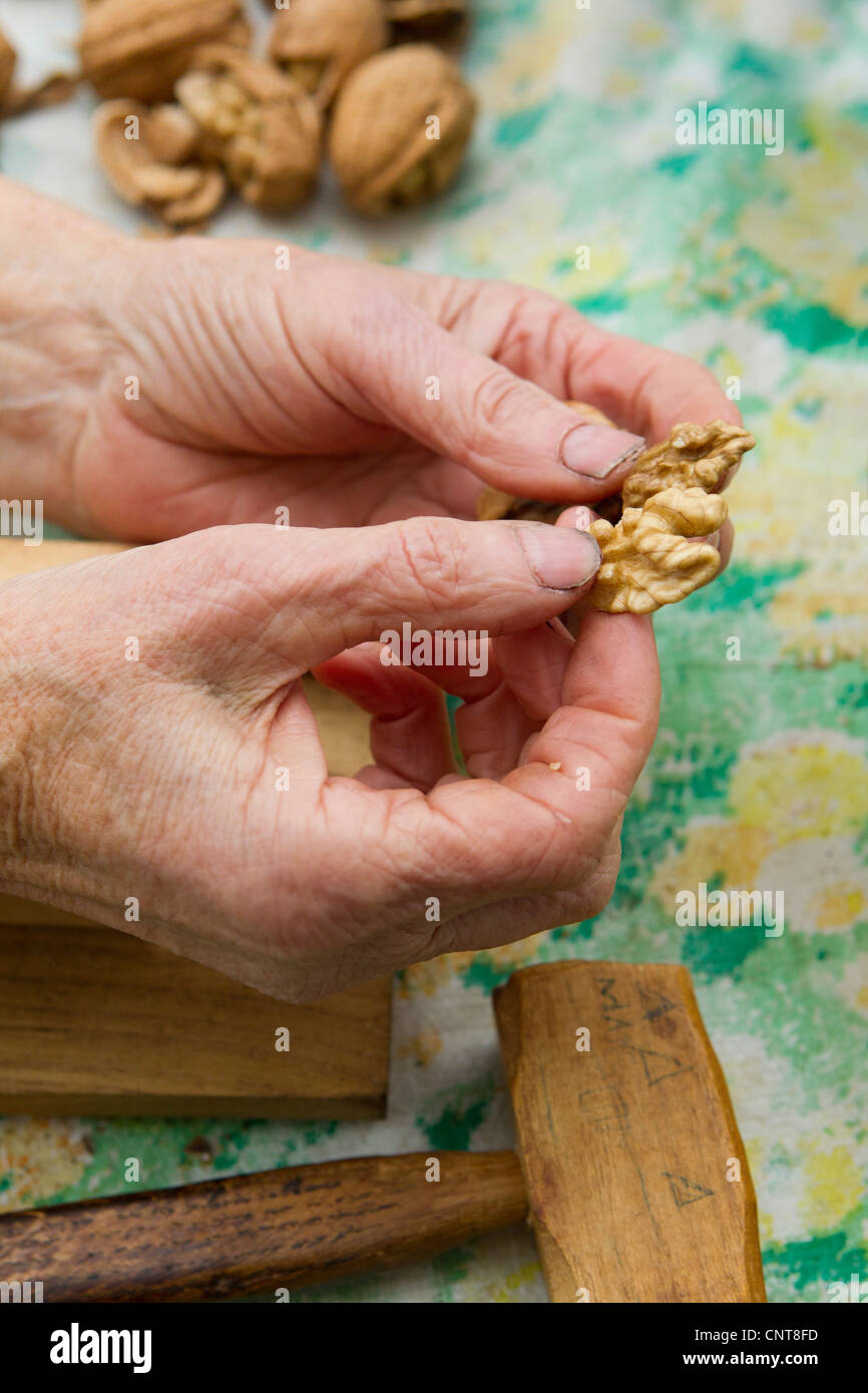 Hands holding shelled walnut Stock Photo - Alamy