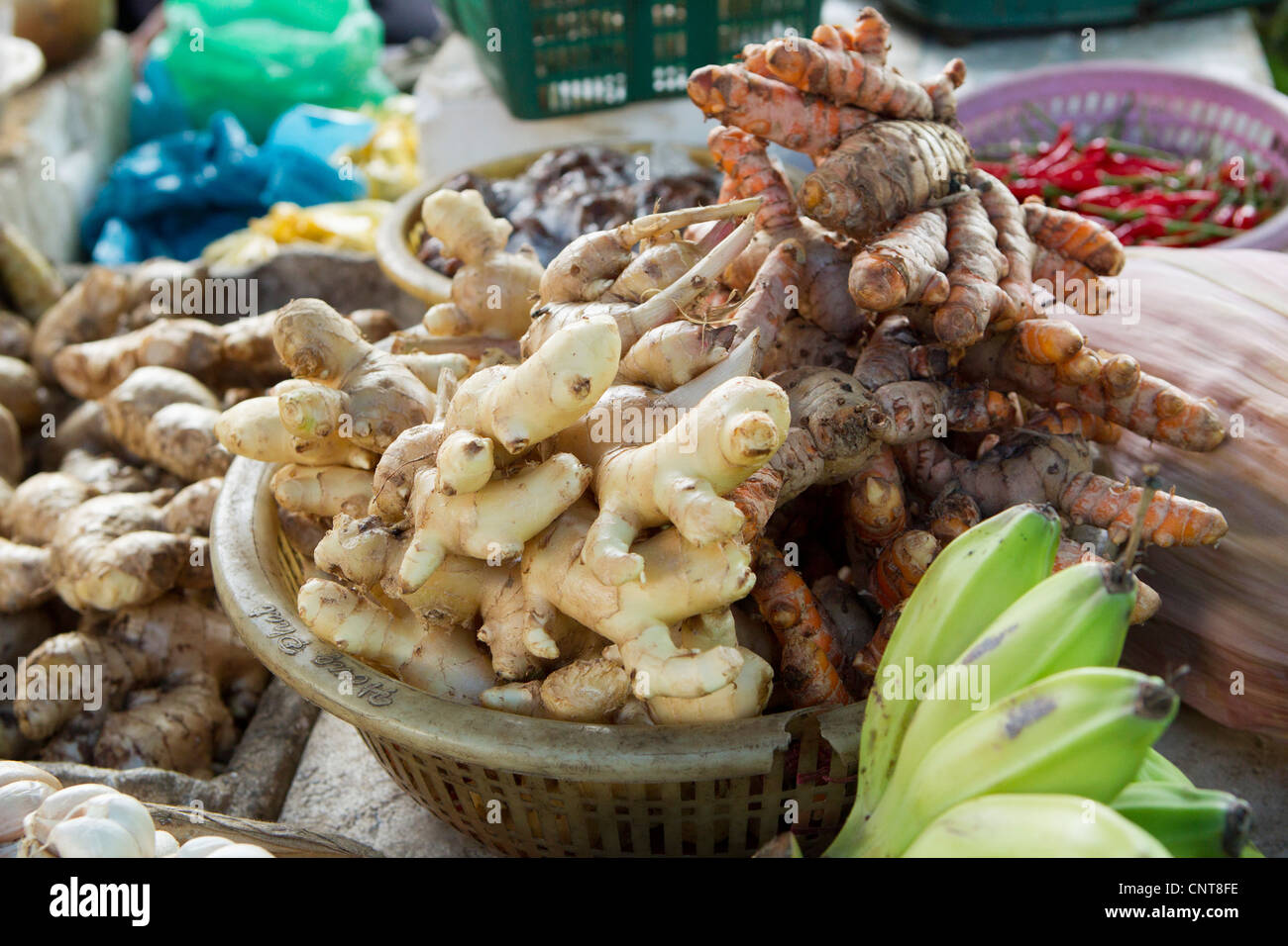 Varieties of ginger roots on market stall Stock Photo - Alamy