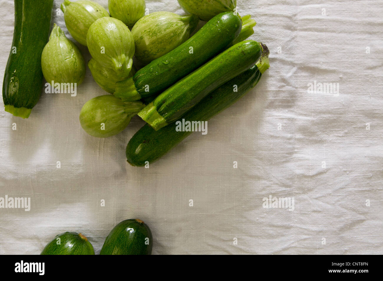 Globe zucchinis hi-res stock photography and images - Alamy