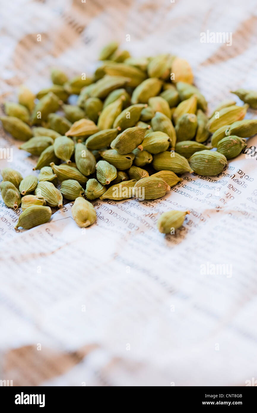 Cardamum pod hi-res stock photography and images - Alamy
