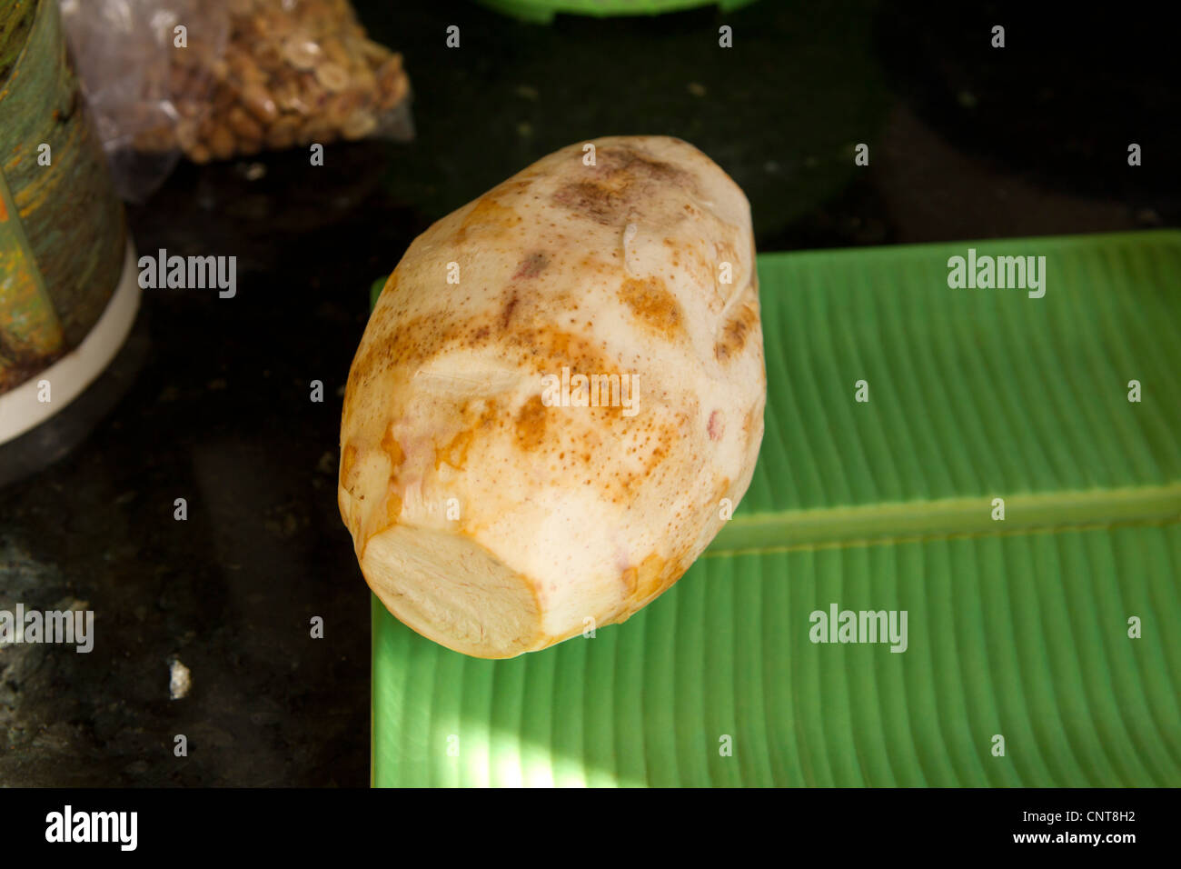 Cassava preparation hi-res stock photography and images - Alamy