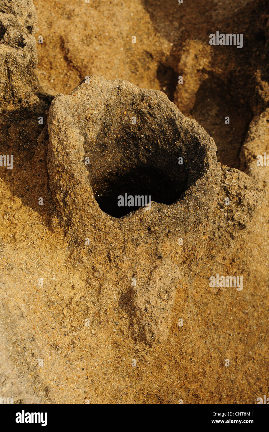 sandsone formation at west coast of Peloponnes, Greece, Peloponnes ...