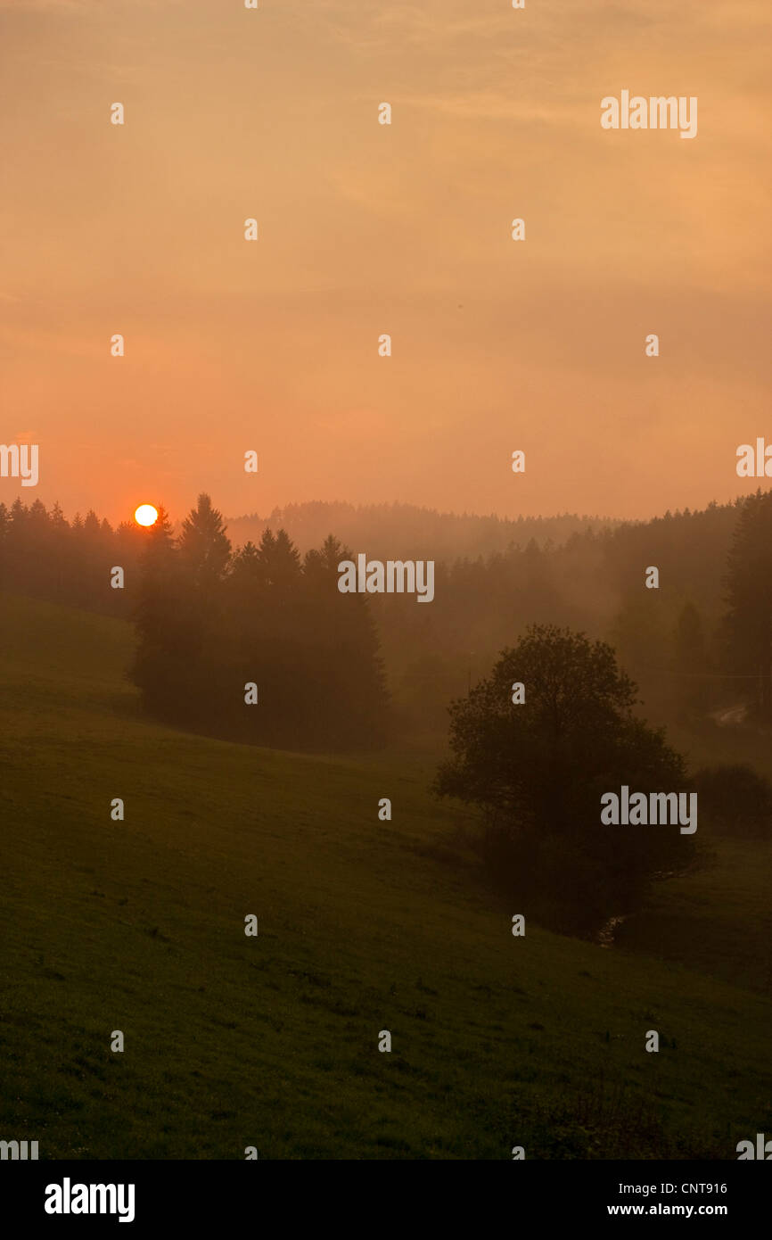 Idyllic forest and meadow landscape hi-res stock photography and images ...