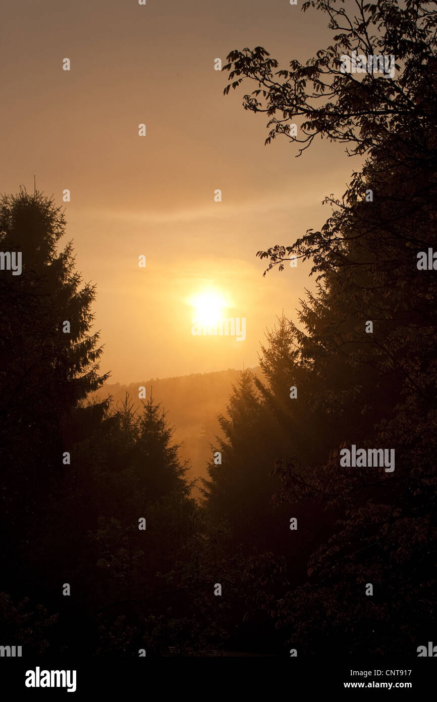 Sun setting over forest hi-res stock photography and images - Alamy