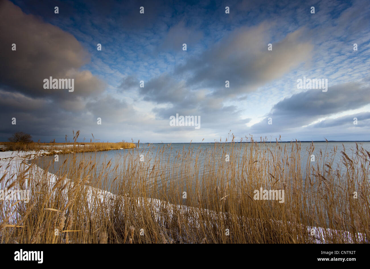 winter scenery at the East Sea, cumulus and cirrocumulus clouds over a ...