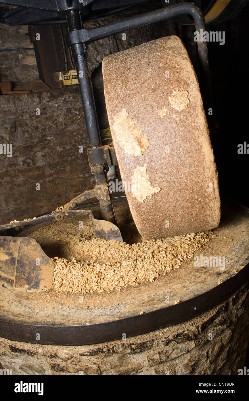 Walnuts images hi-res stock photography and images - Alamy