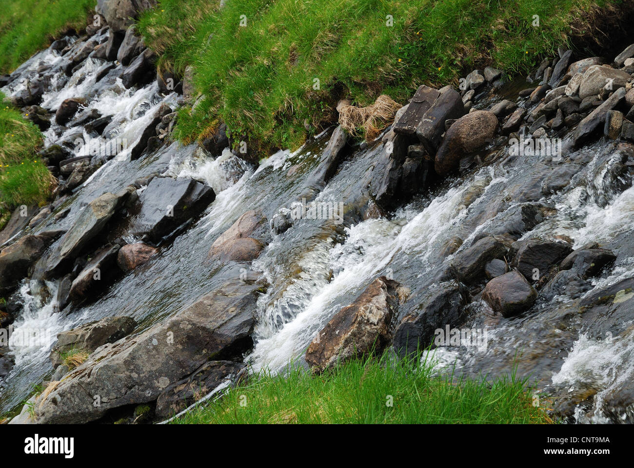 Close-up of a stream in green grass Stock Photo - Alamy