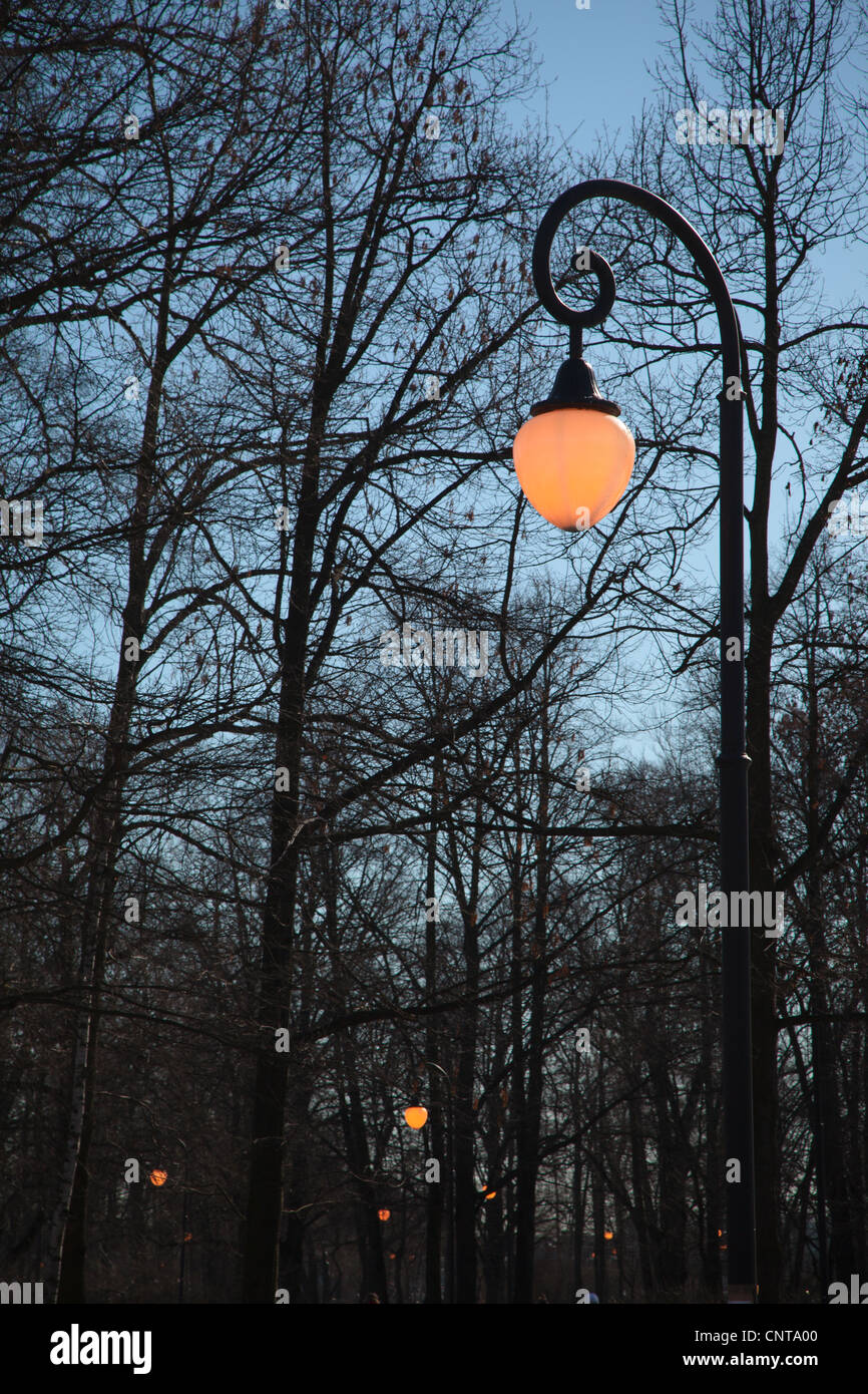 Russia, Saint-Petersburg, street lights burning during the day ...