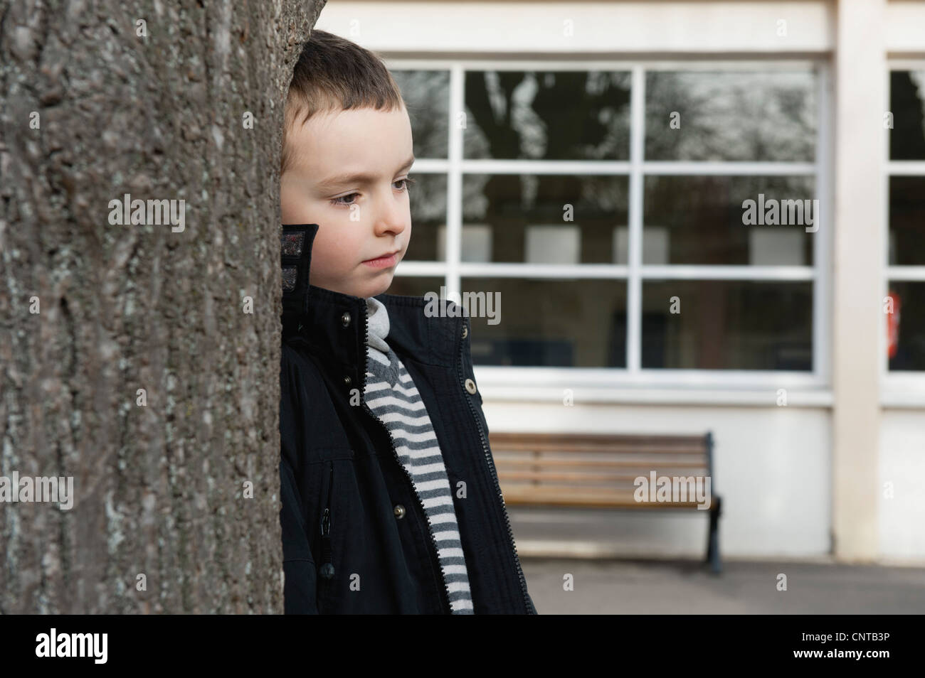 Boy leaning against tree trunk Stock Photo - Alamy