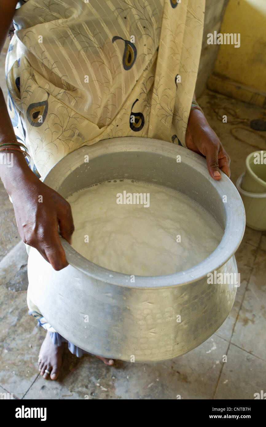 Person carrying milk in metal container Stock Photo - Alamy