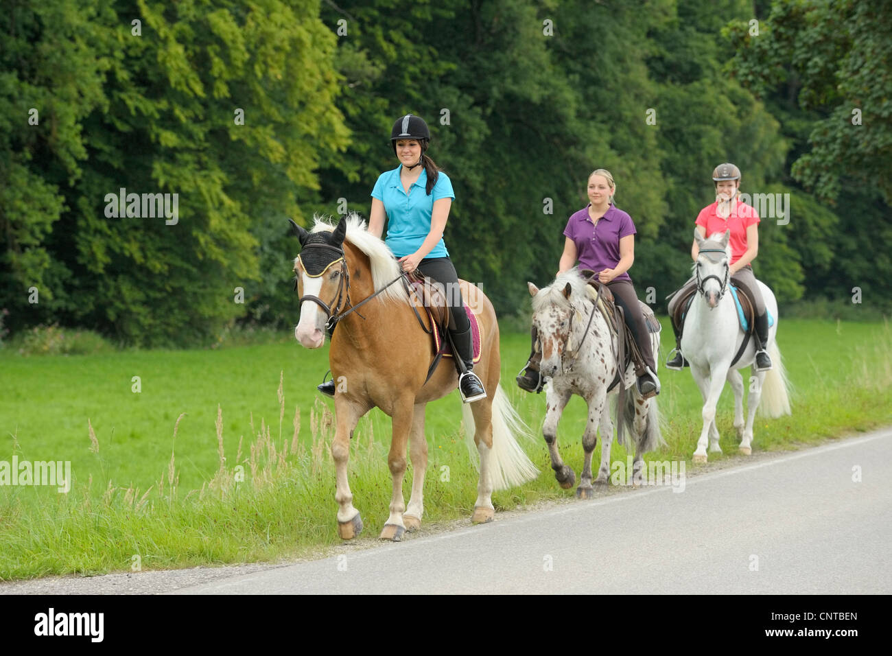 Multiple ponies hi-res stock photography and images - Alamy
