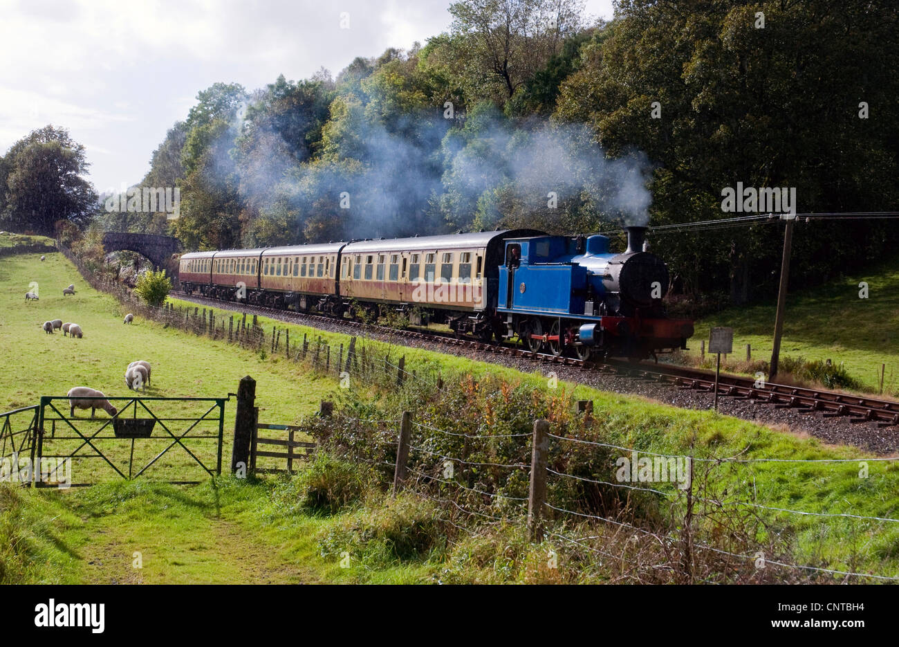 Train preserved railway railways hi-res stock photography and images ...