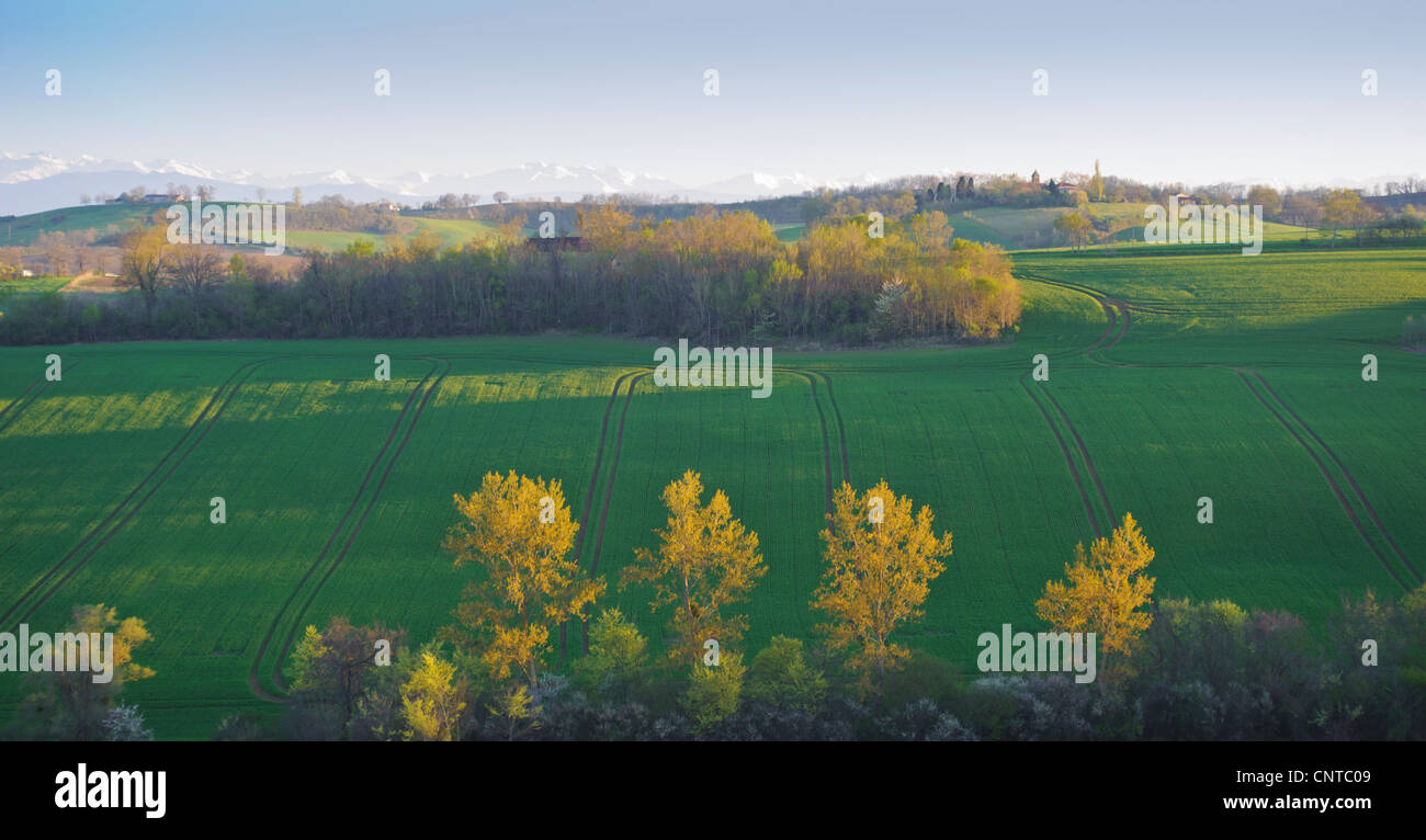 French farm field hi-res stock photography and images - Alamy