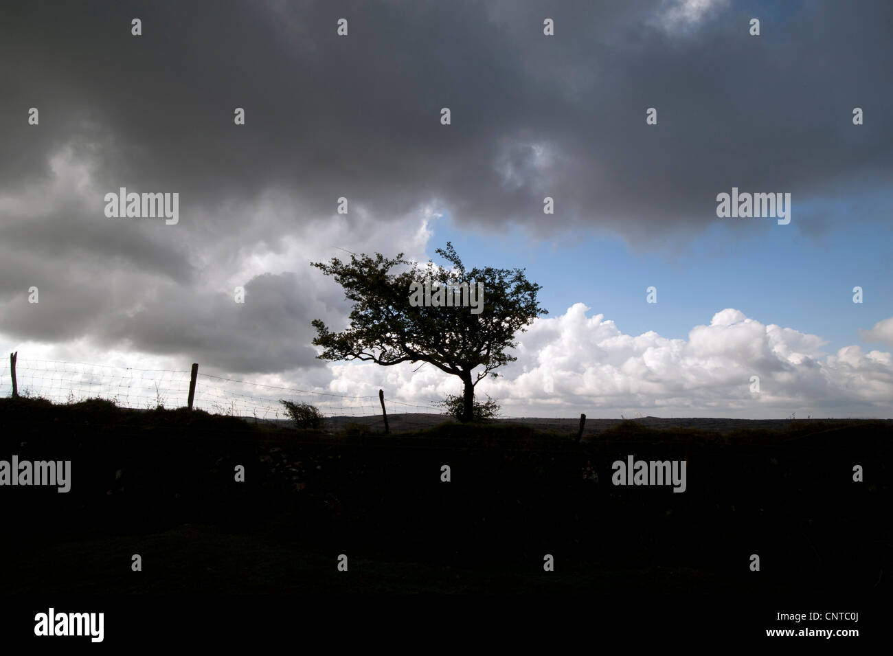 Temple bodmin hi-res stock photography and images - Alamy