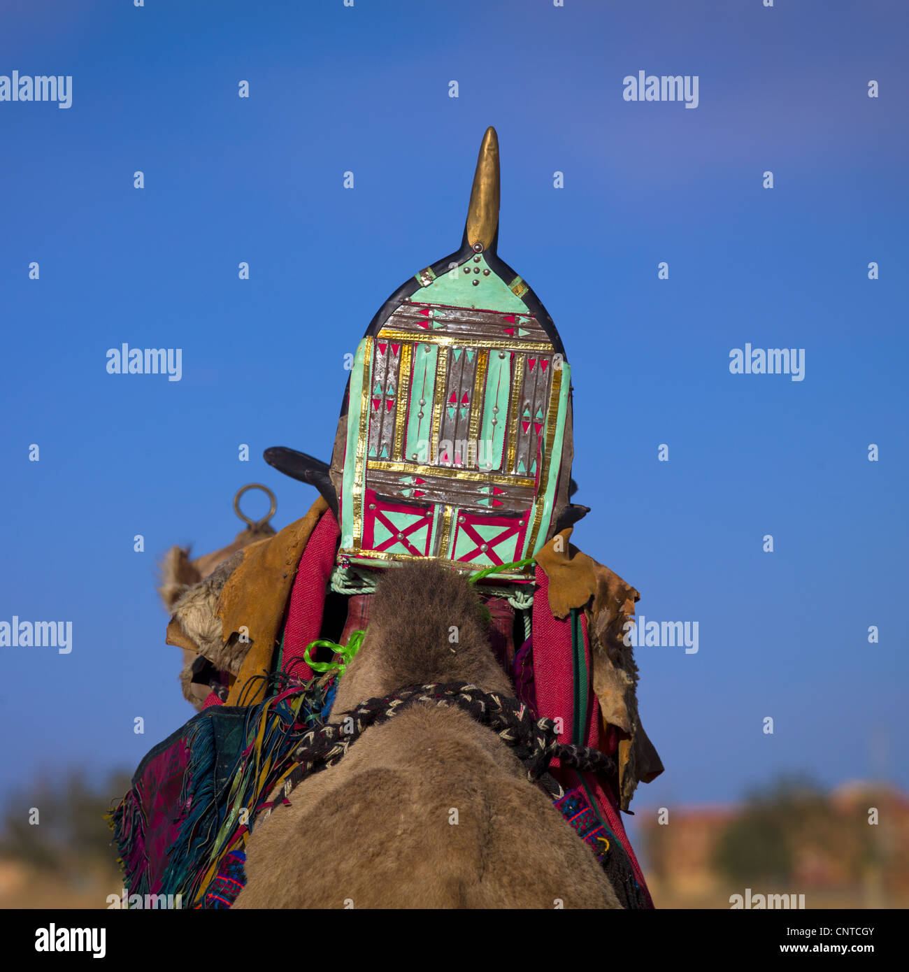 Libya tuareg camel africa desert hi-res stock photography and images ...