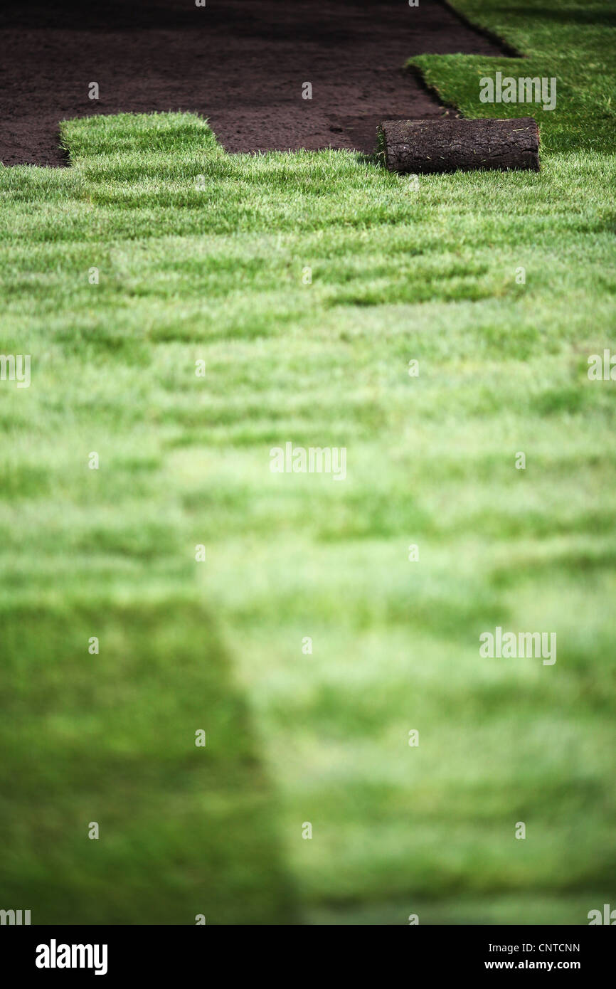 Lush green grass spread hi-res stock photography and images - Alamy