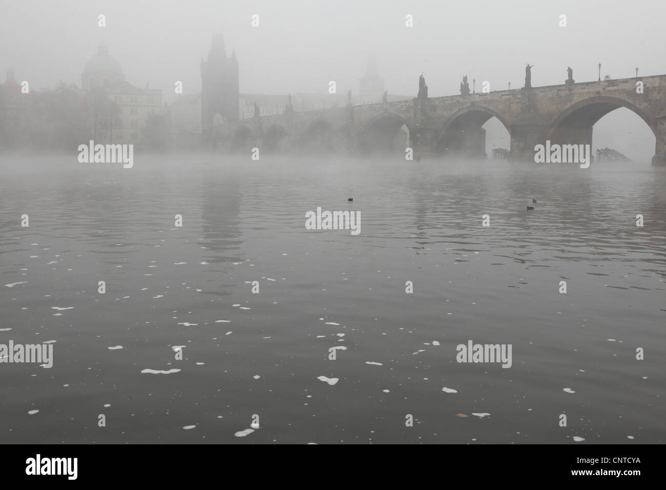 Morning fog over the Charles Bridge in Prague, Czech Republic Stock ...