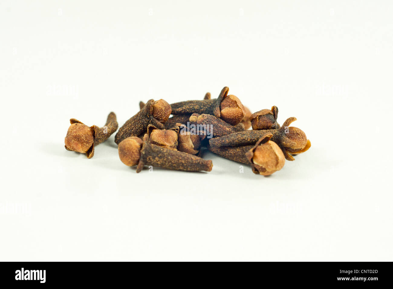 Cloves on a white background Stock Photo - Alamy