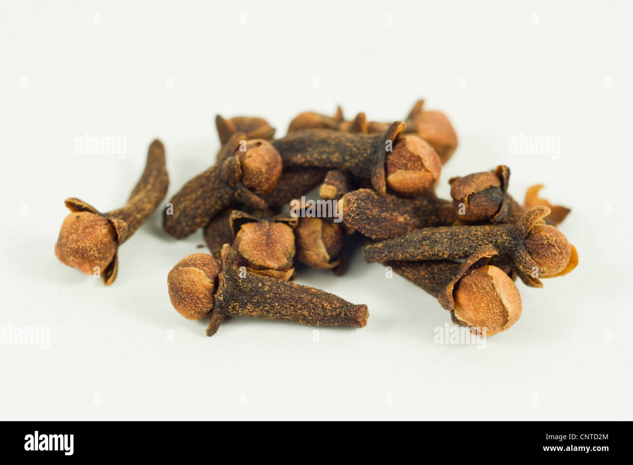 Cloves on a white background Stock Photo - Alamy