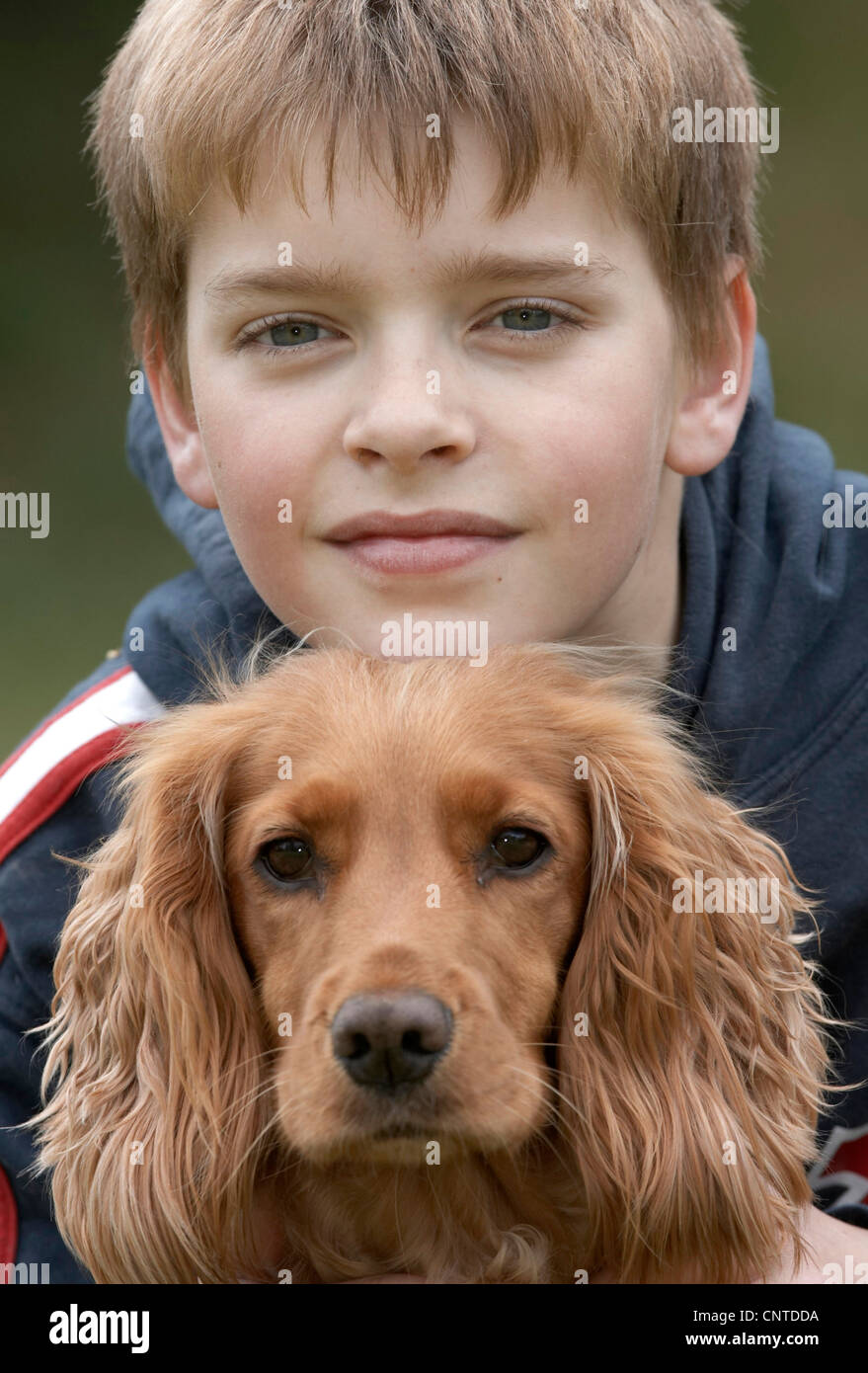 Boy with cocker spaniel hi-res stock photography and images - Alamy