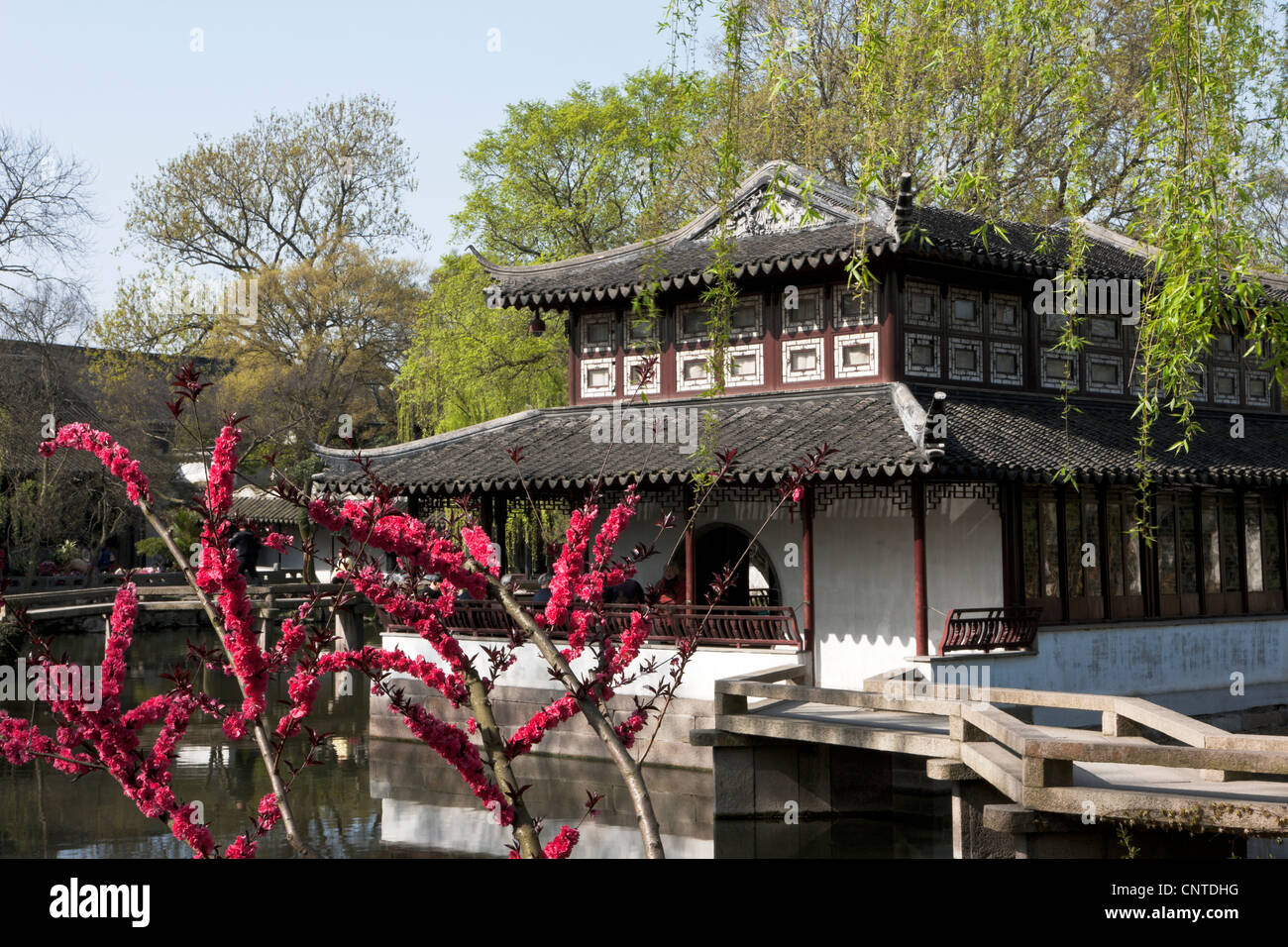 china，suzhou，zhuozheng garden，plant，Classsical Style，sunlight ，river ...