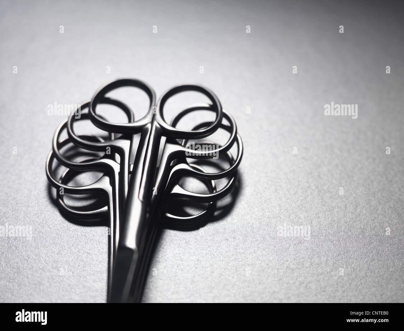 Surgical scissors hi-res stock photography and images - Alamy